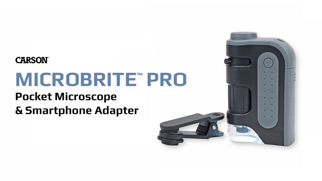 MicroBrite Pro LED Taschenmikroskop mit | Kaufland.de