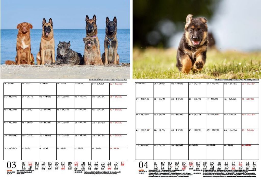 Hundezauber Schäferhunde Planer DIN A4 | Kaufland.de