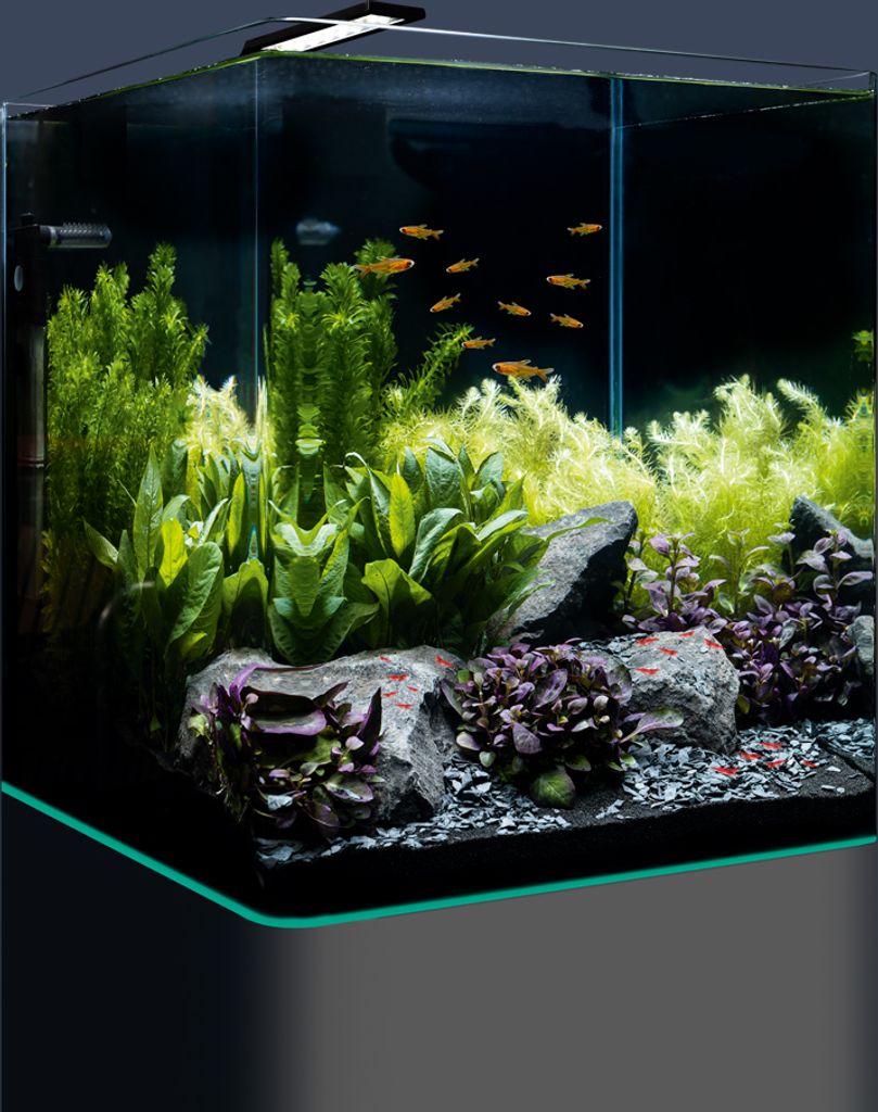 Dennerle Nano Cube Complete, 60 Liter - Mini | Kaufland.de
