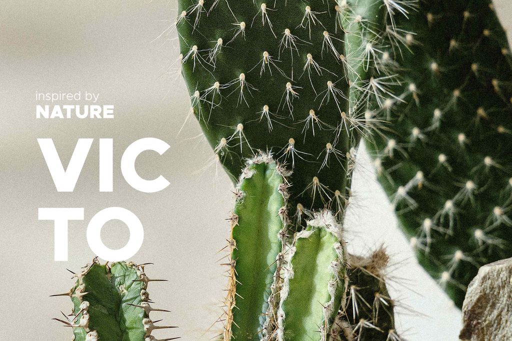 Konsimo Jídelní set VICTO pro 6 osob Nádobí s | Kaufland.cz