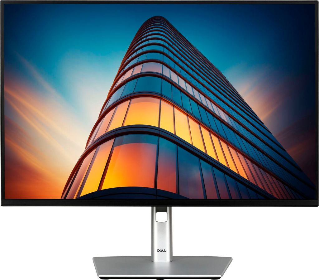 DELL P2425 - Monitor LED - 61 cm (24") (24,07" sichtbar)