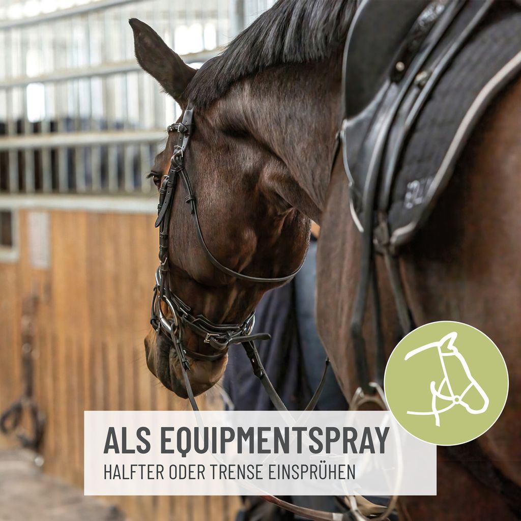 REAVET Bremsen Stop Fliegenspray Pferde XL | Kaufland.de