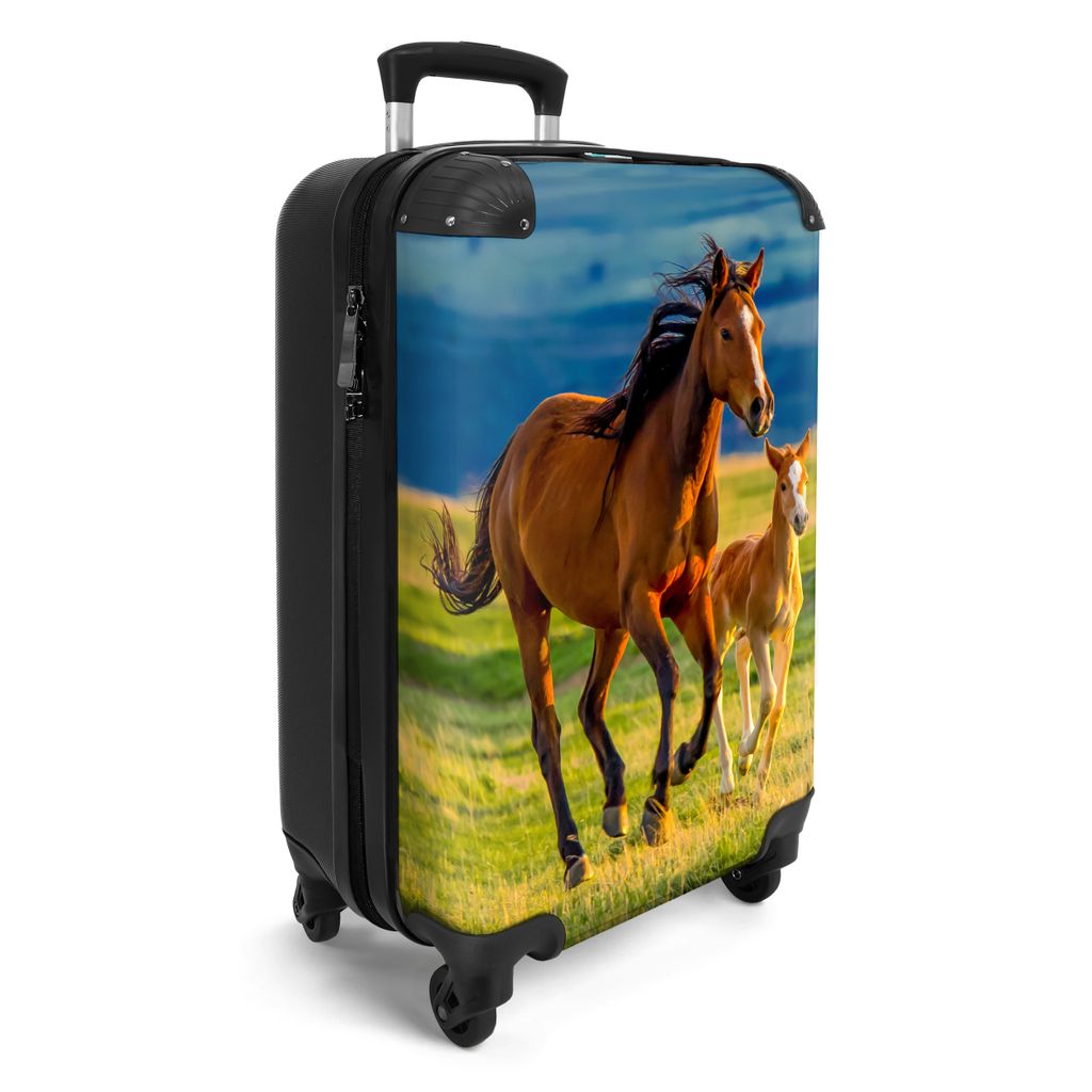 NoBoringSuitcases.com® Kufr Příruční | Kaufland.cz