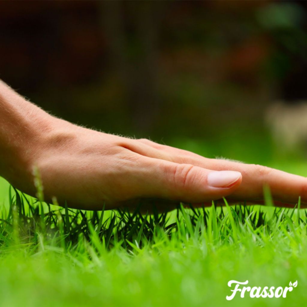Frassor Insektendünger (5 kg - für 50 m2)- | Kaufland.de