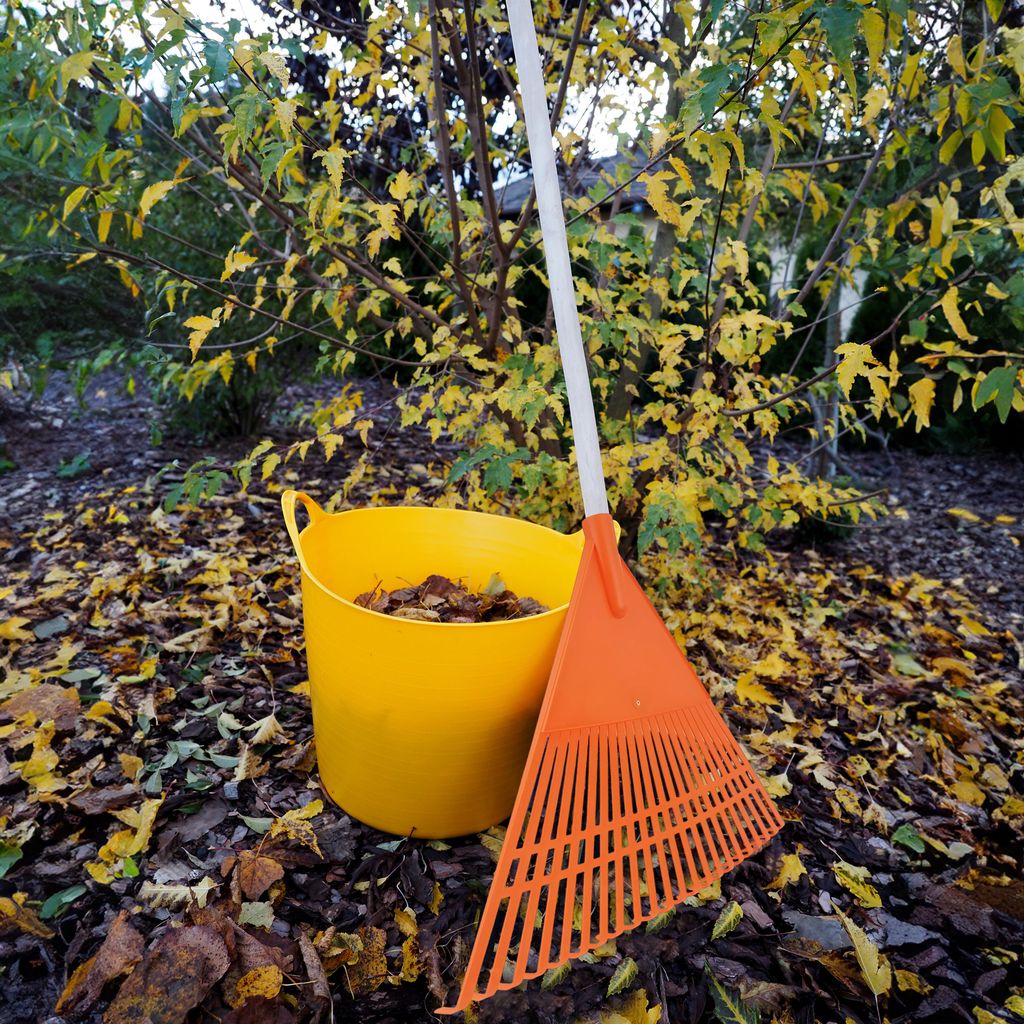 BAUSTER® Fächerbesen Kunststoff aus | Kaufland.de