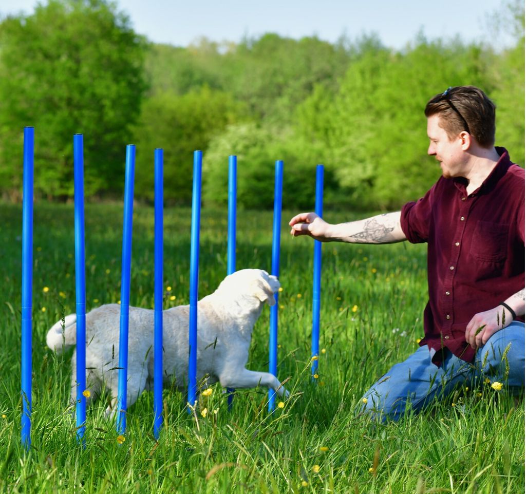 Agility-Slalom 10x Agility-Slalom-Set | Kaufland.de