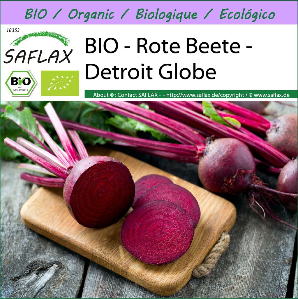 SAFLAX -- Rote Beete - Detroit Globe - 100 | Kaufland.de