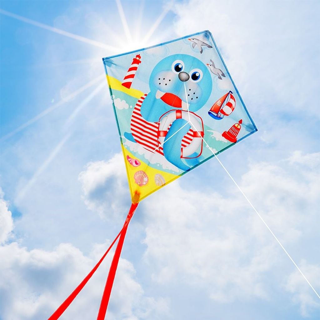 Vilde Kinderdrachen Flugdrachen Lenkdrachen | Kaufland.de