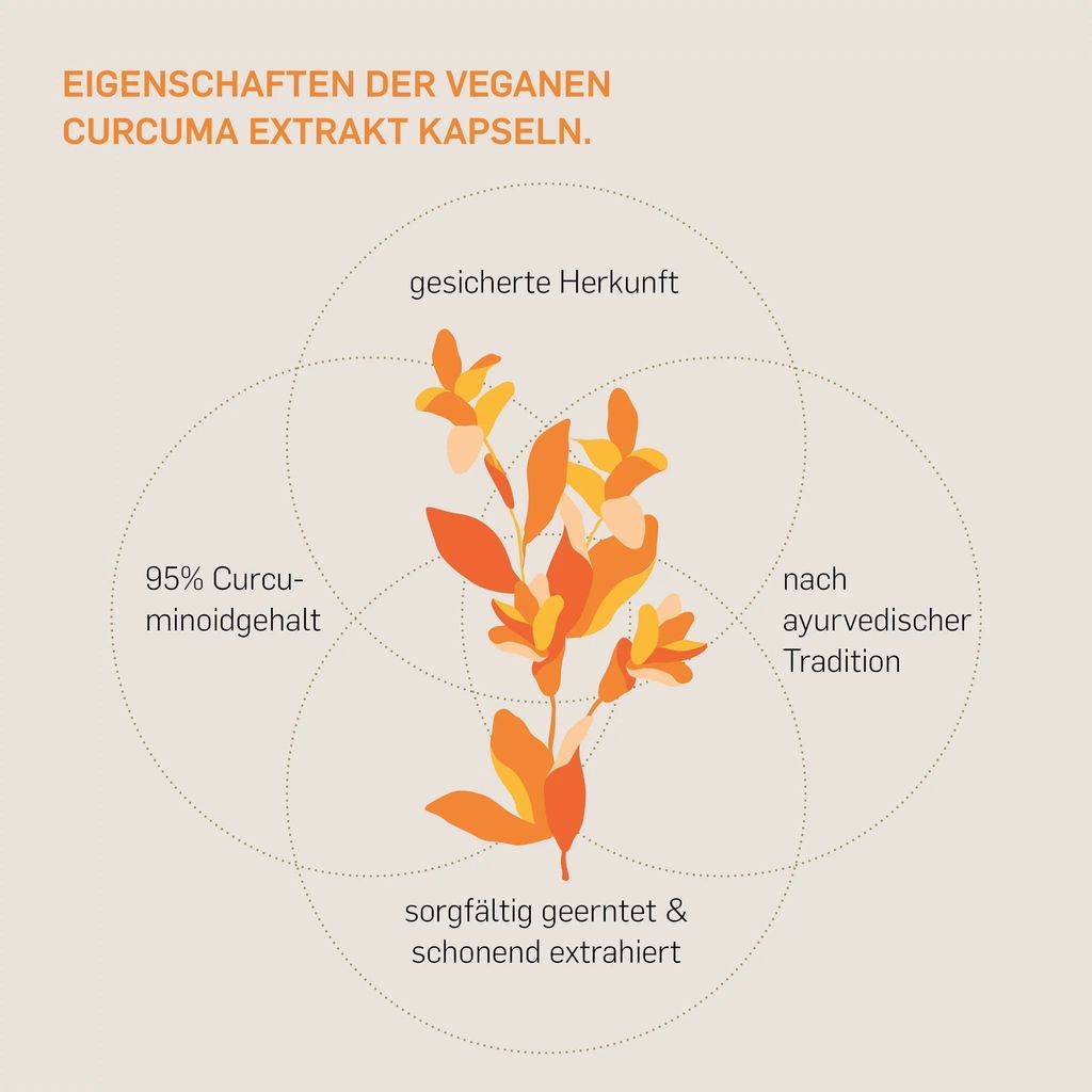 Kurkraft Curcuma Extrakt - 90 Kapseln - | Kaufland.de