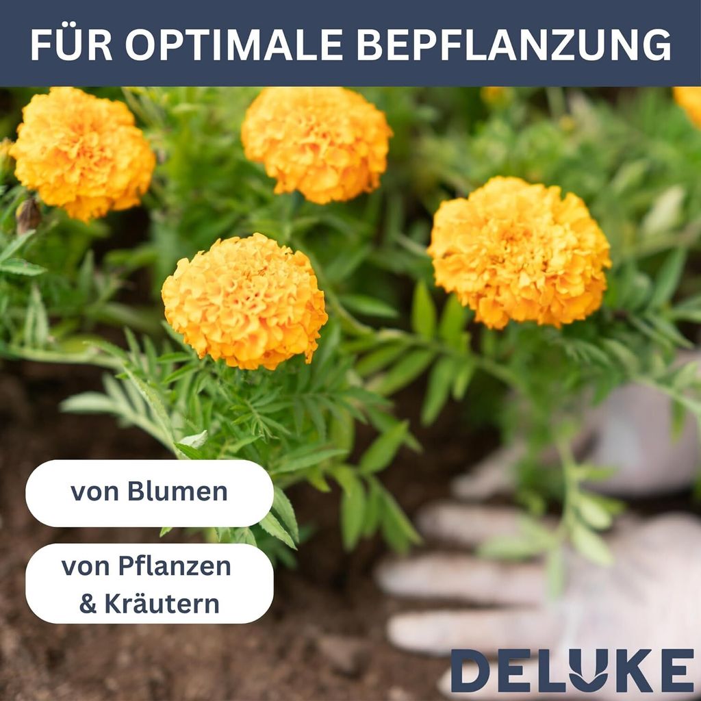 DELUKE® Gabionen Hochbeet ROON aus Stahl | | Kaufland.de