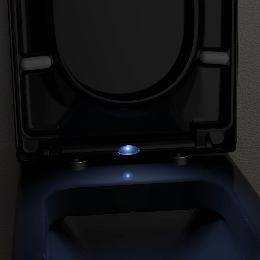 BERNSTEIN Duroplast WC-Sitz U1002 Schwarz mit | Kaufland.de