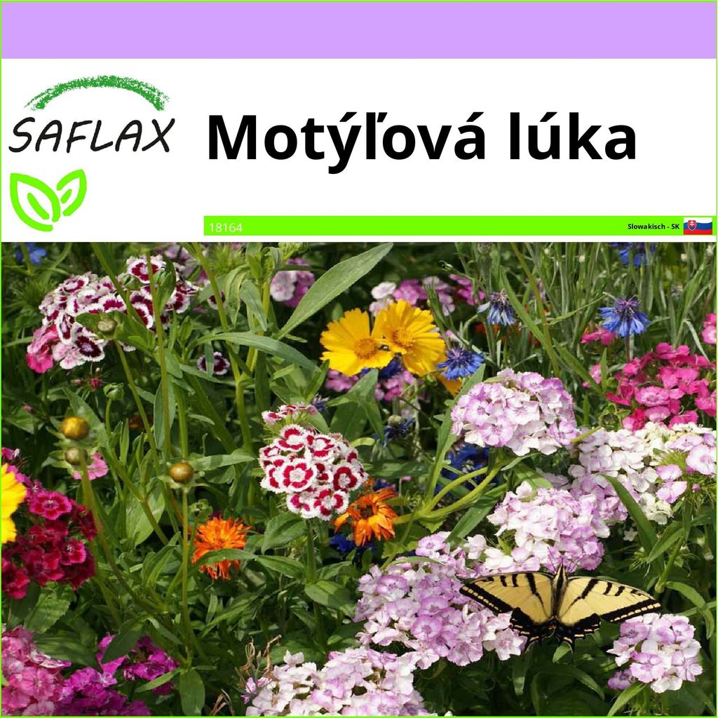 SAFLAX - motýľová lúka - Mix - 1000 Semená | Kaufland.sk
