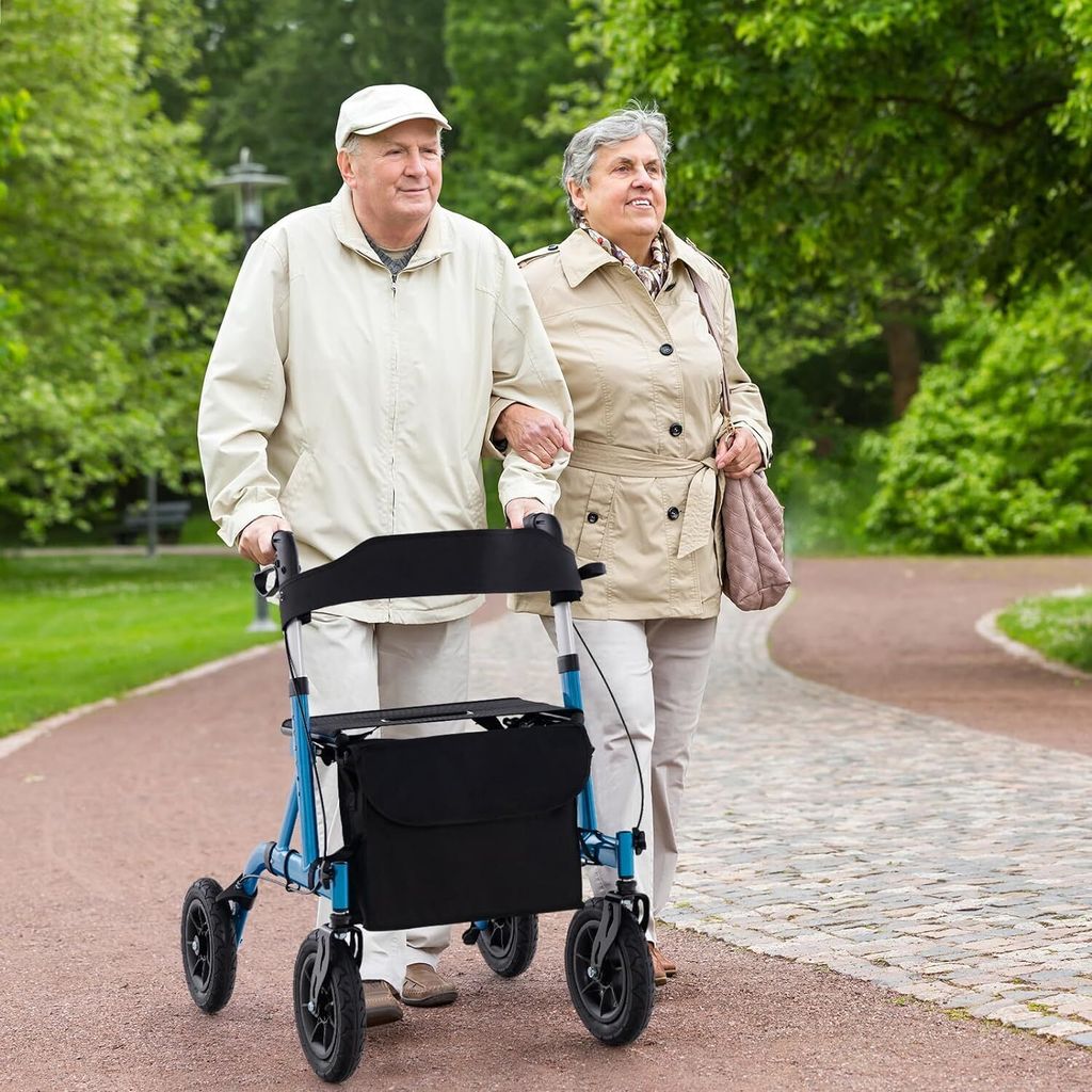 COSTWAY 2in1 Rollator mit Sitz faltbar, | Kaufland.de