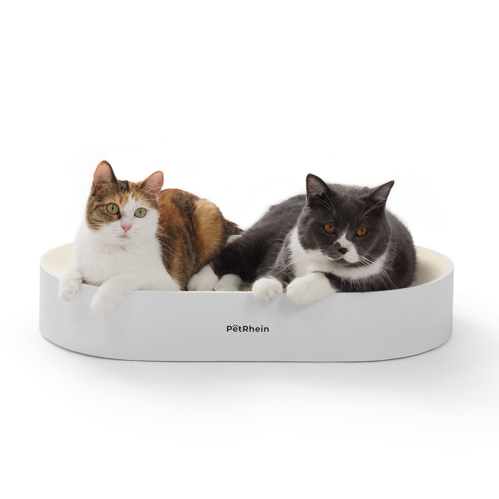 Kratzpappe Zen Paw Series Weiß Kratzbretter