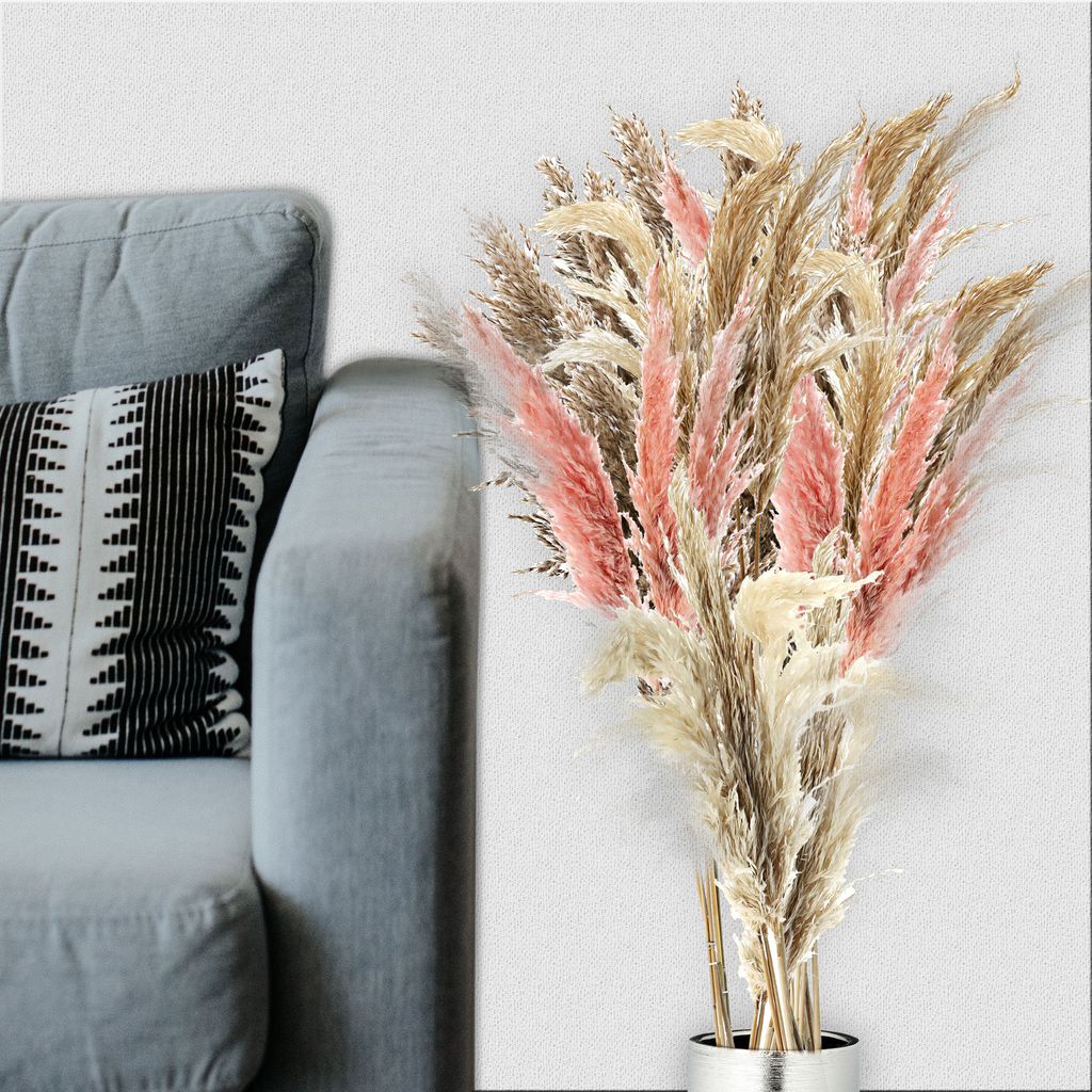 Pampasgras 12er Set 4 Farben Dekogras | Kaufland.de