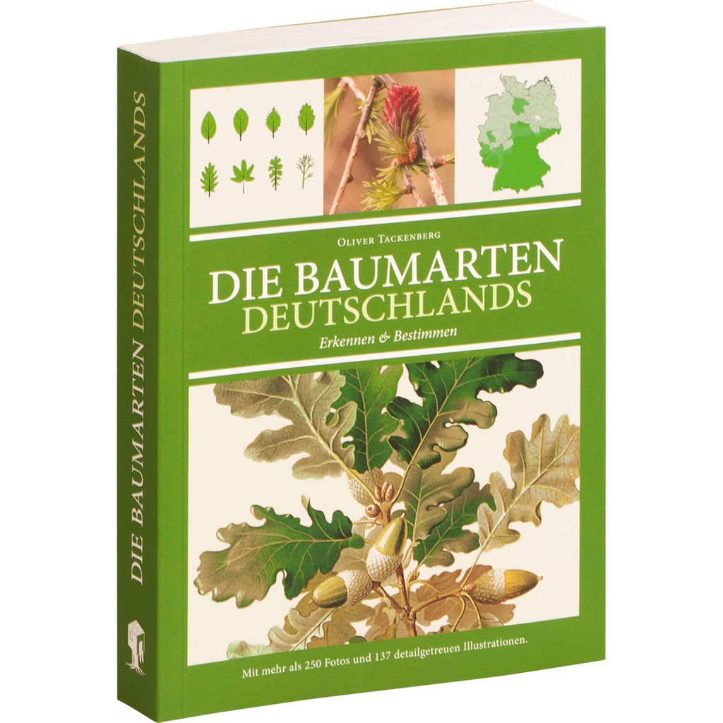 Tackenberg, O. Die Baumarten Deutschlands | Kaufland.de