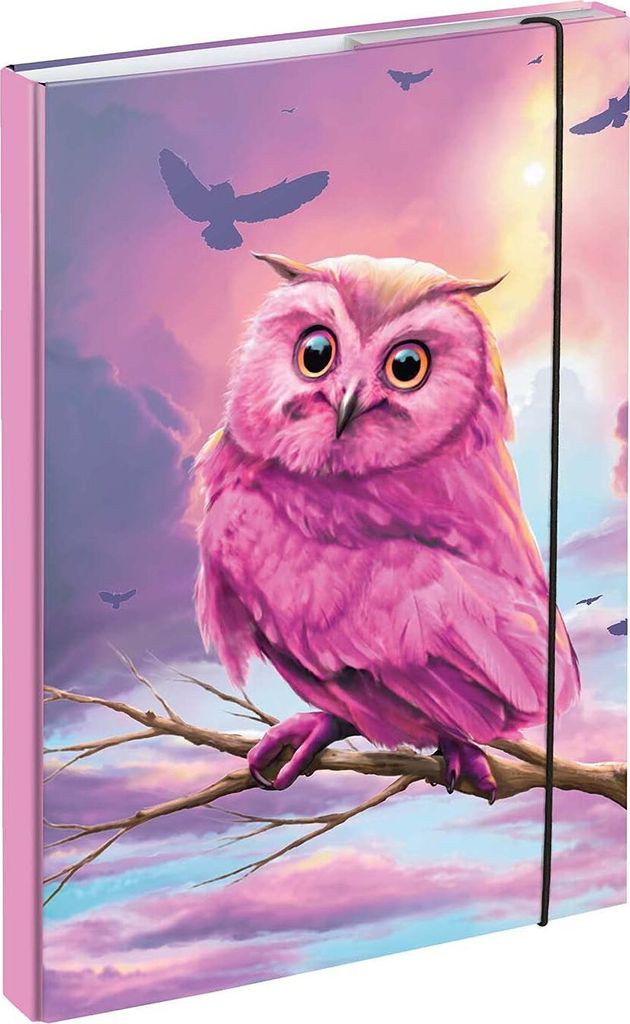 Baagl Heftbox für Schulranzen A4 - | Kaufland.de