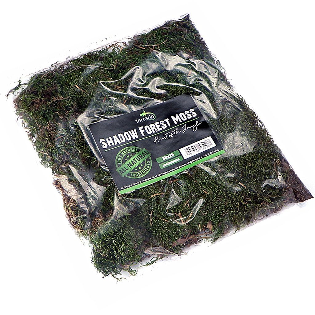 Terrario Shadow Forest Moss - Natürliches | Kaufland.de