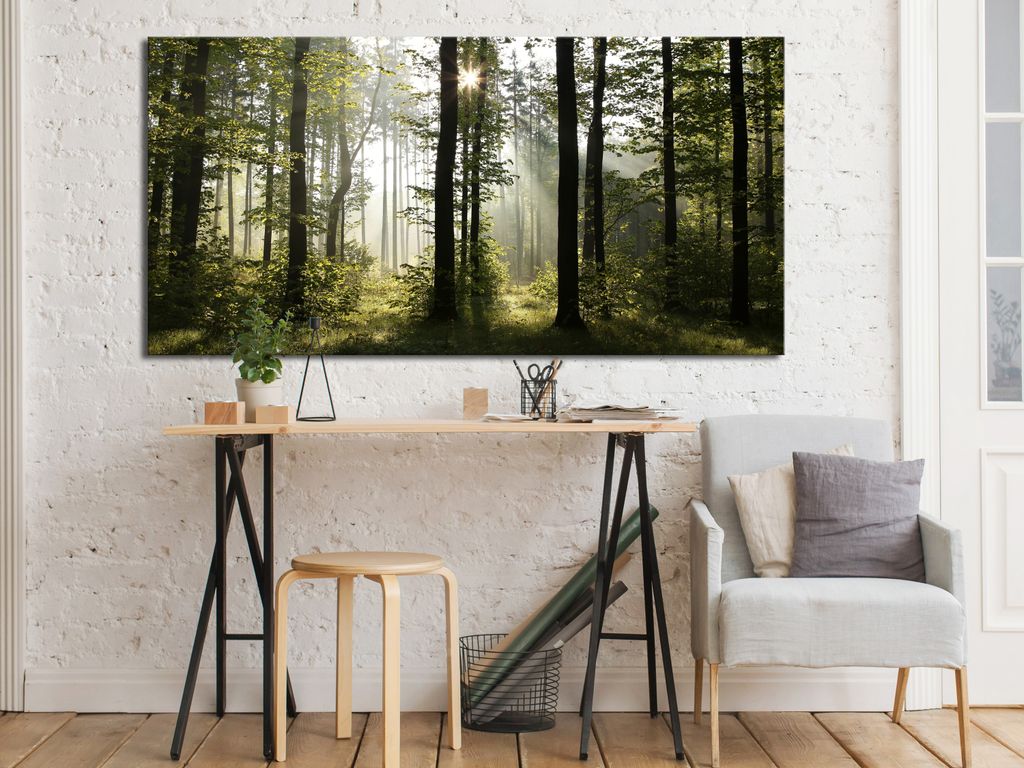 Wandbild Mega XXXL Wald 250x125 cm | Kaufland.de