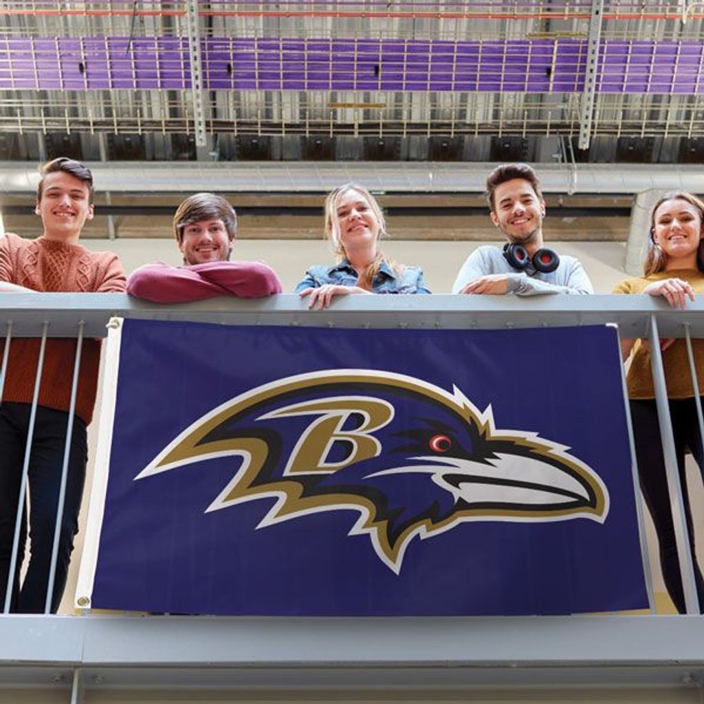 Wincraft NFL Flagge 150x90cm Banner NFL | Kaufland.de