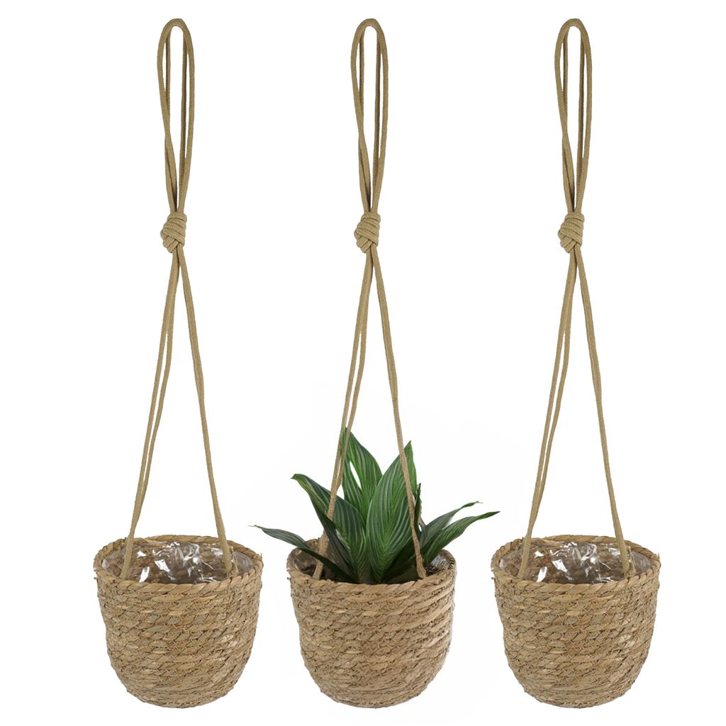 Seegras Blumenampel Ø 19 cm mit Folie - 3er | Kaufland.de