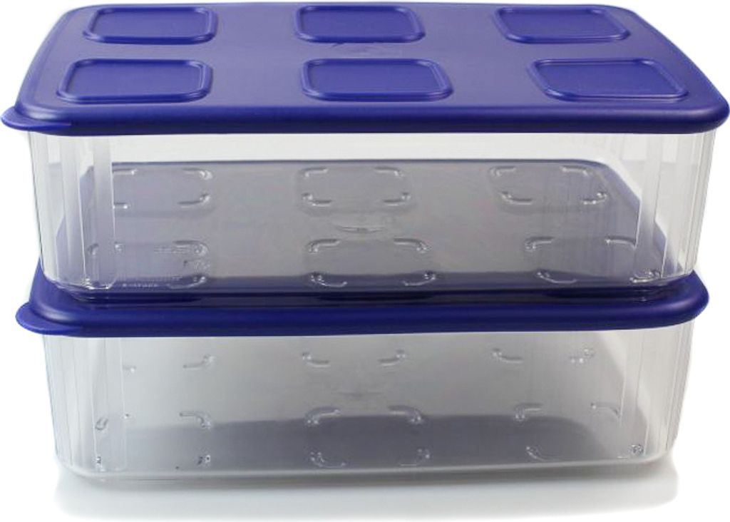 TUPPERWARE Fridge Clear Mates 1,6 l (2) | Kaufland.sk