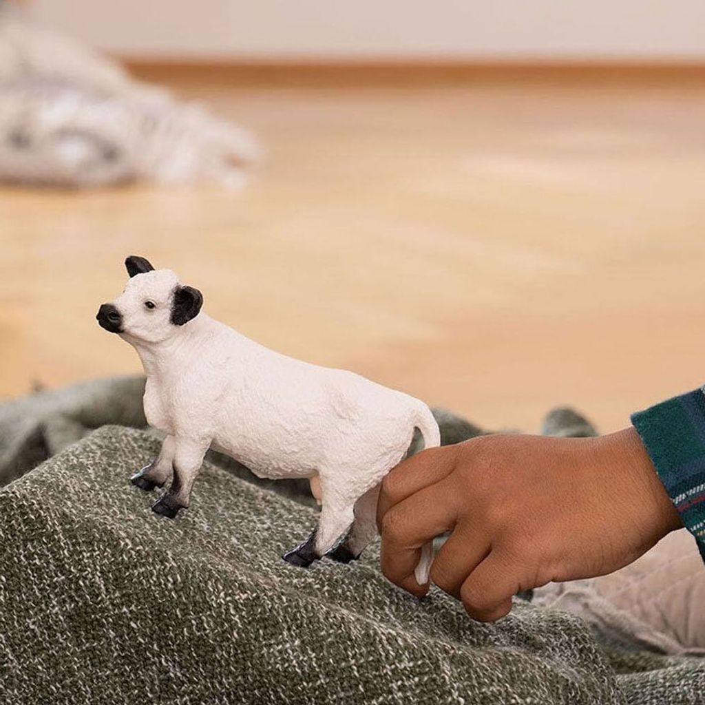 Krowa rasy Galloway Figurki zwierzątka | Kaufland.pl