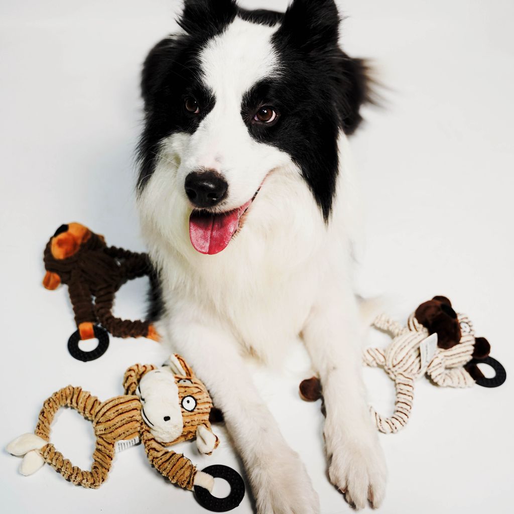 The Pets Smile 3 STK Quietschspielzeug | Kaufland.de