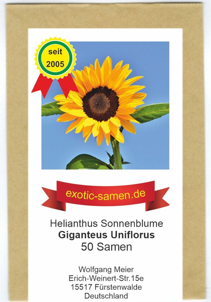 Riesensonnblume – Giganteus Uniflorus – bis 3 | Kaufland.de