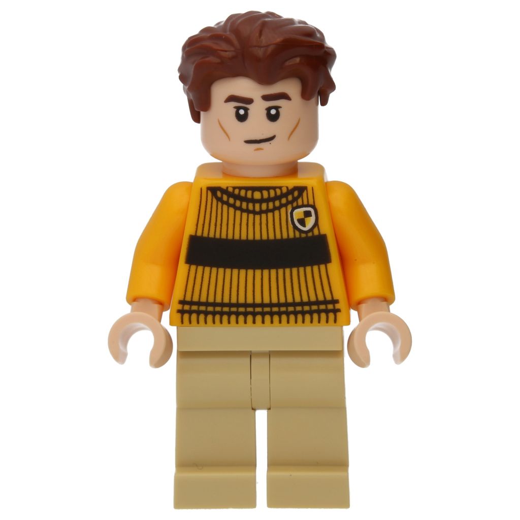 LEGO Harry Potter: Cedric Diggory, Quidditch | Kaufland.de