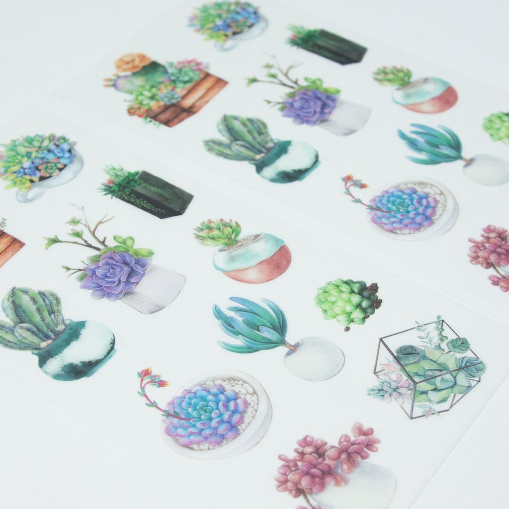 Oblique Unique 22 Kakteen Sticker Blumen | Kaufland.de