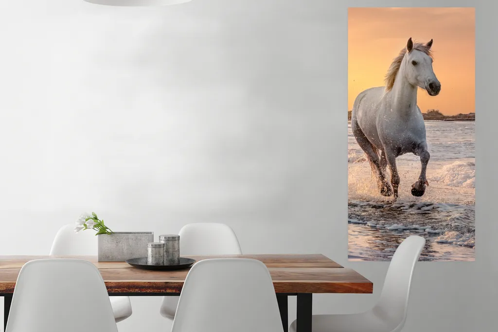 MuchoWow® Poster Pferde - Sonne - Meer - | Kaufland.de