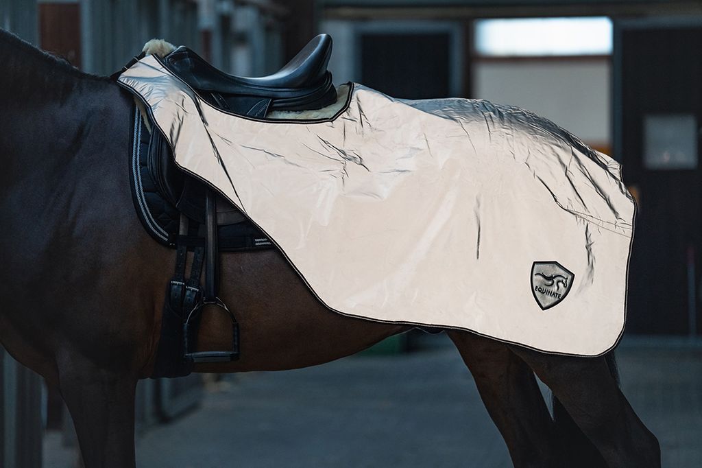 Reflexný jazdecký koberec Equinate | Kaufland.sk