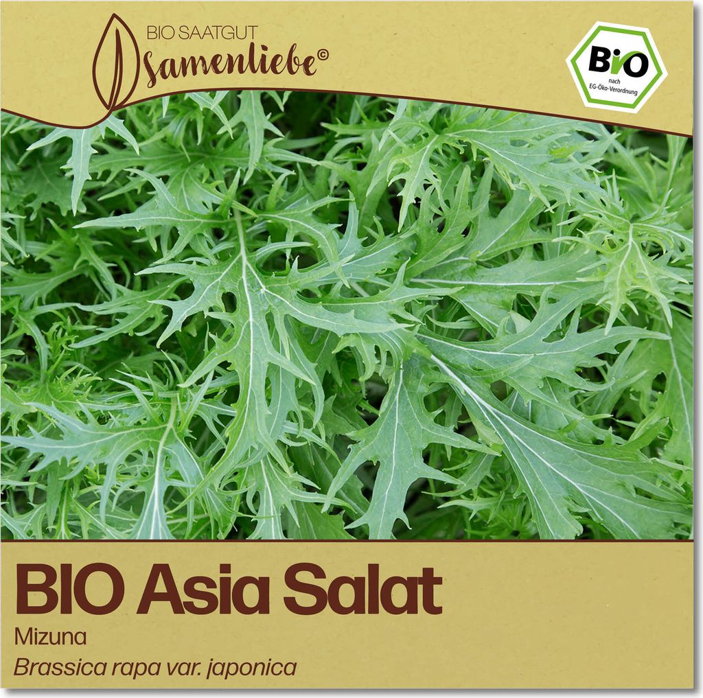 Salat Samen Mizuna Gemüse-Samen Saatgut | Kaufland.de