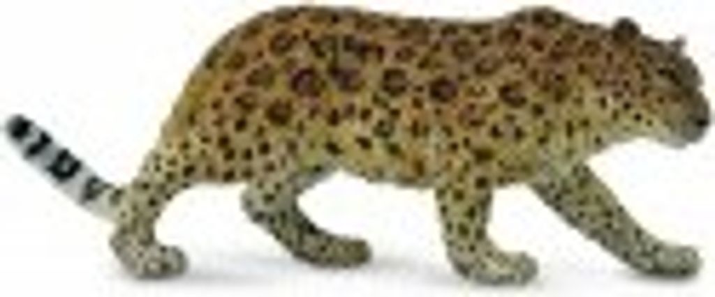 Collecta - Amur Leopard -XL- 88708 (90188708) | Kaufland.sk