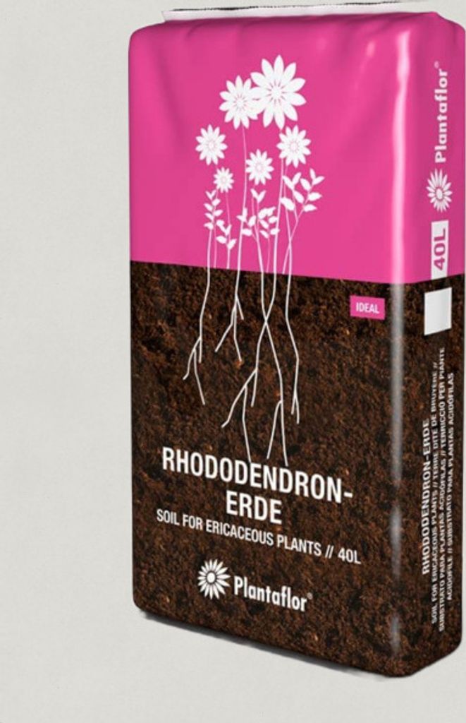 Plantaflor Rhododendronerde Moorbeeterde Erde | Kaufland.de