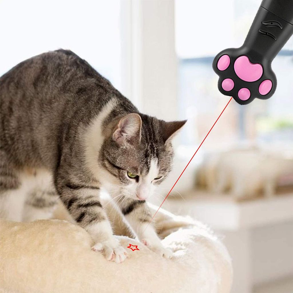LED Pointer für Katzen 7-in-1 Interaktives | Kaufland.de