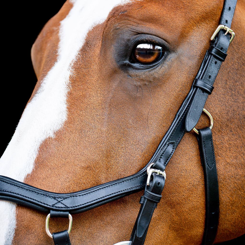 Horseware Ireland Trense Micklem 2 | Kaufland.de