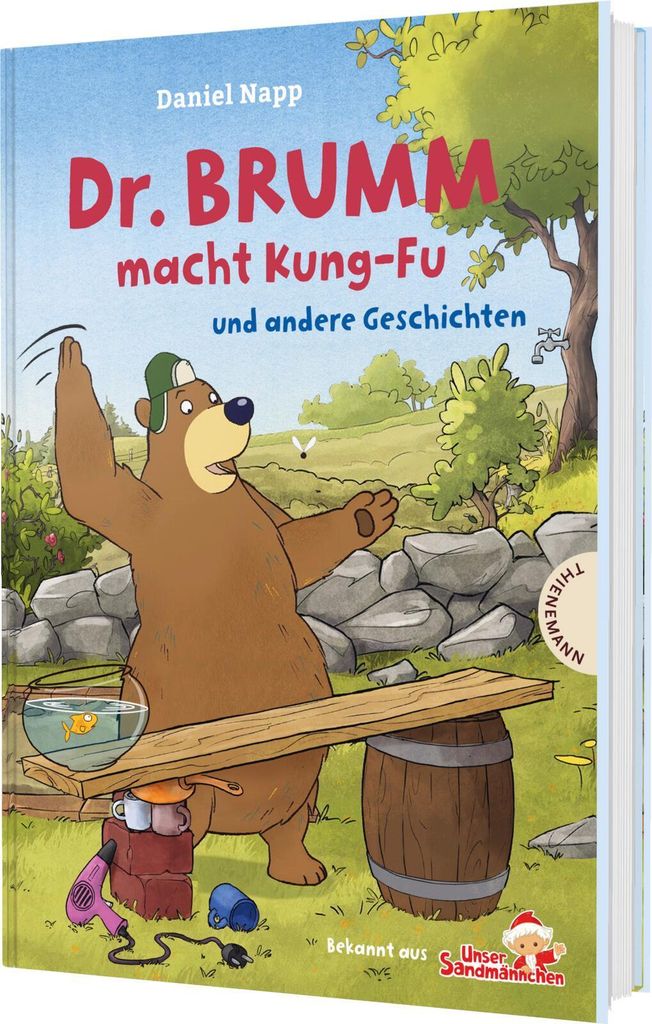 Dr. Brumm: Dr. Brumm macht Kung-Fu Mitbring- & Reisespiele