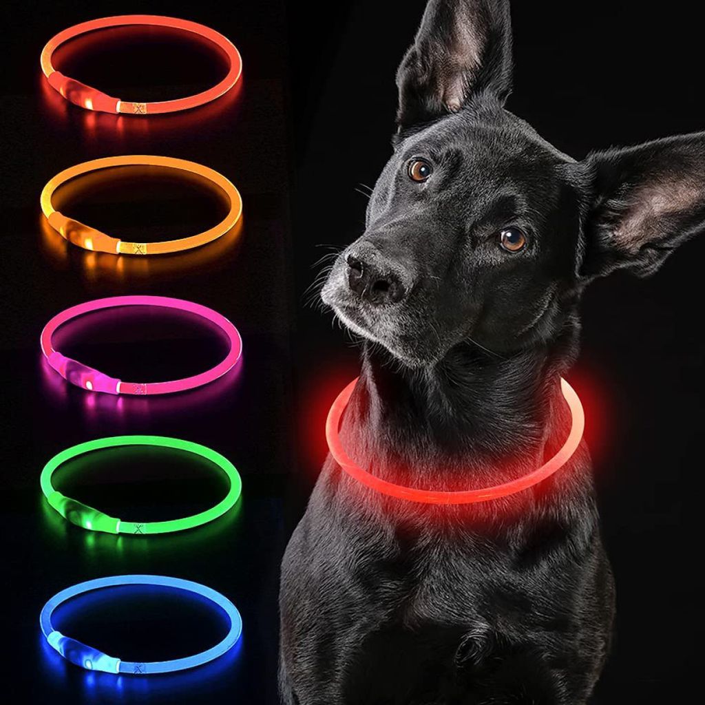 LED-Hundehalsband, beleuchtetes | Kaufland.de