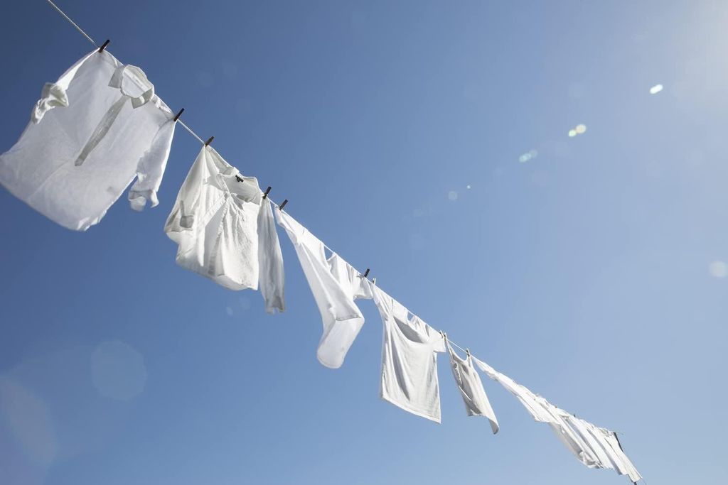 Dash Pulver Alpen Frische 100WL Waschpulver | Kaufland.de