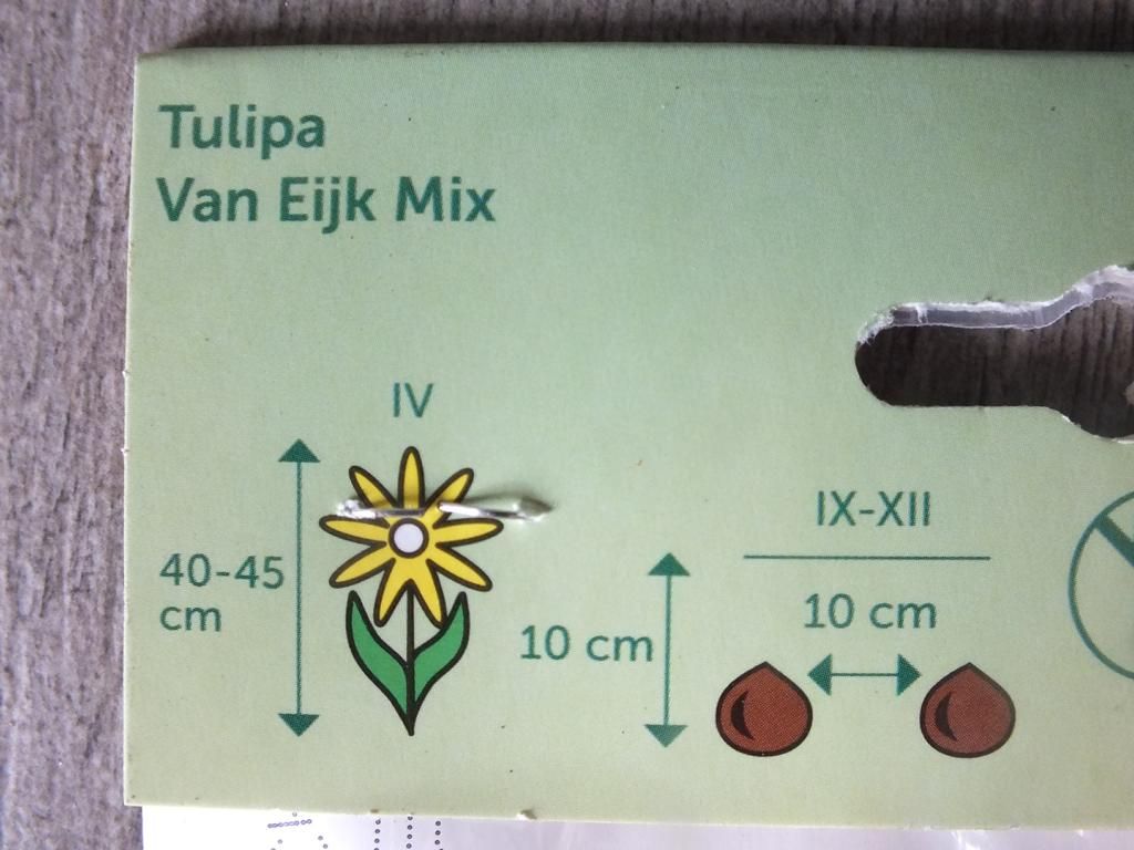 7 x Van Eijk Mix Tulipánové cibulky - odolné | Kaufland.cz