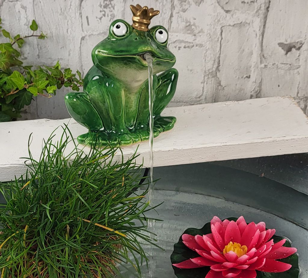 Wasserspeier Mit Pumpe
