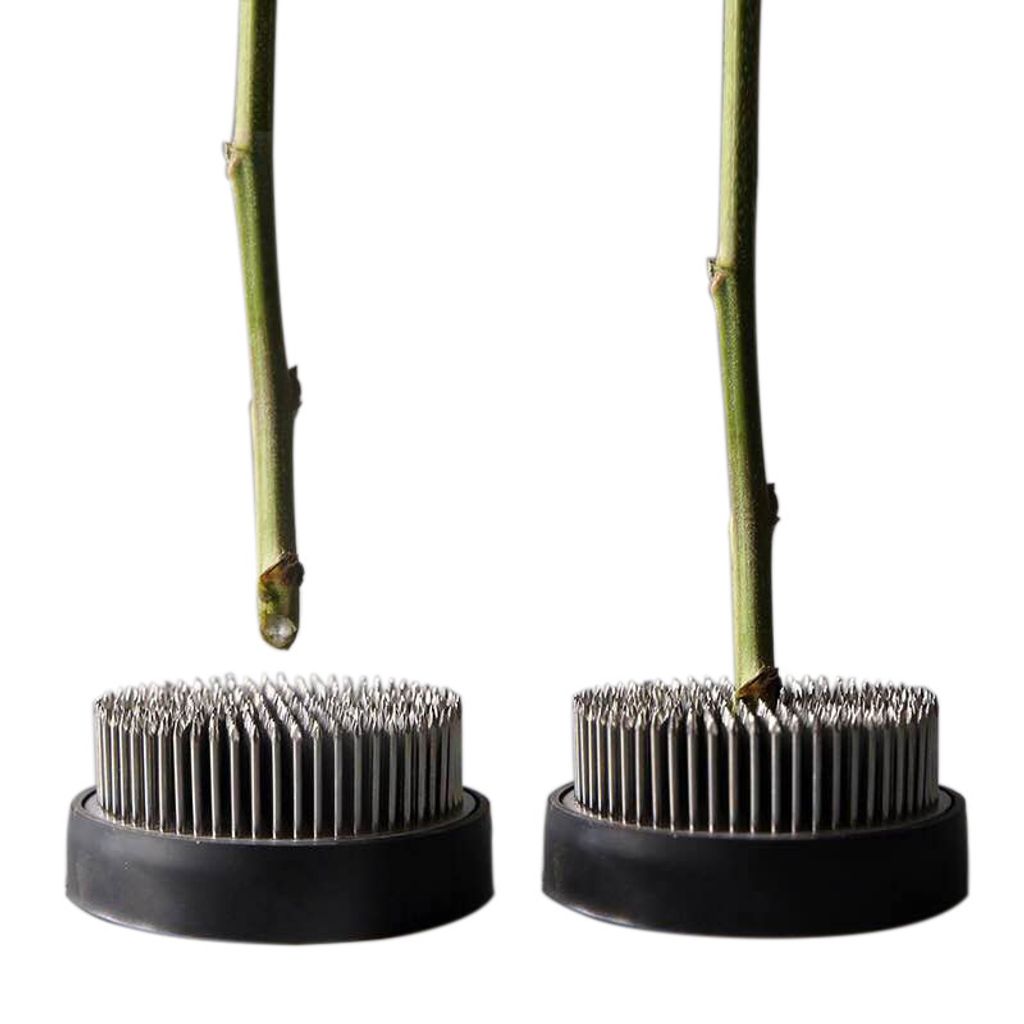 INF Flower Fakir / Držiak na kvetiny pre | Kaufland.sk