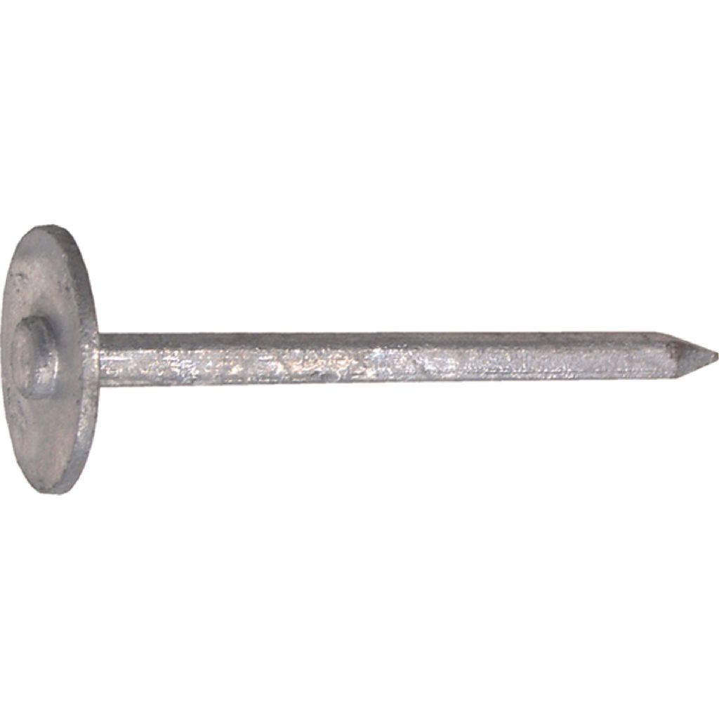 Drakena Leichtbauplattennägel, verzinkt 3,4 x | Kaufland.de