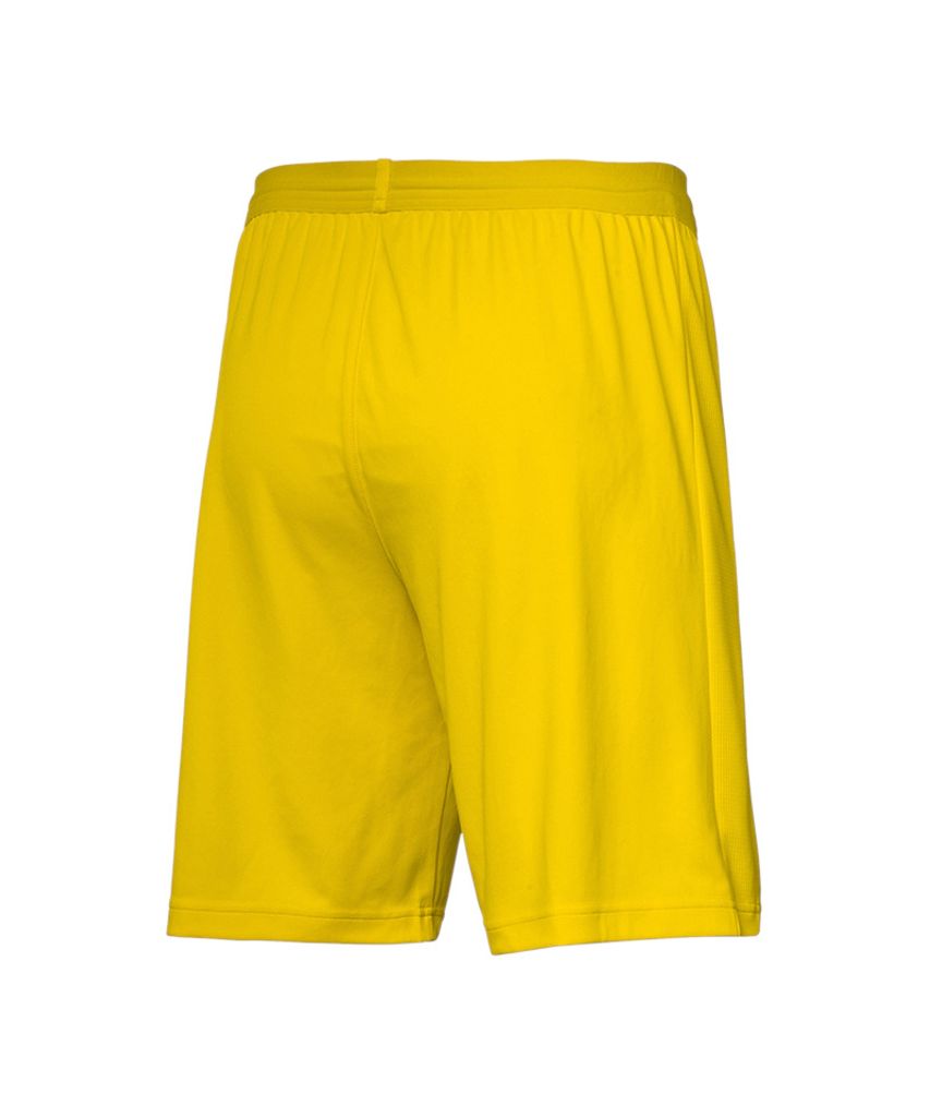 Puma BVB Borussia Dortmund Herren Shorts | Kaufland.de