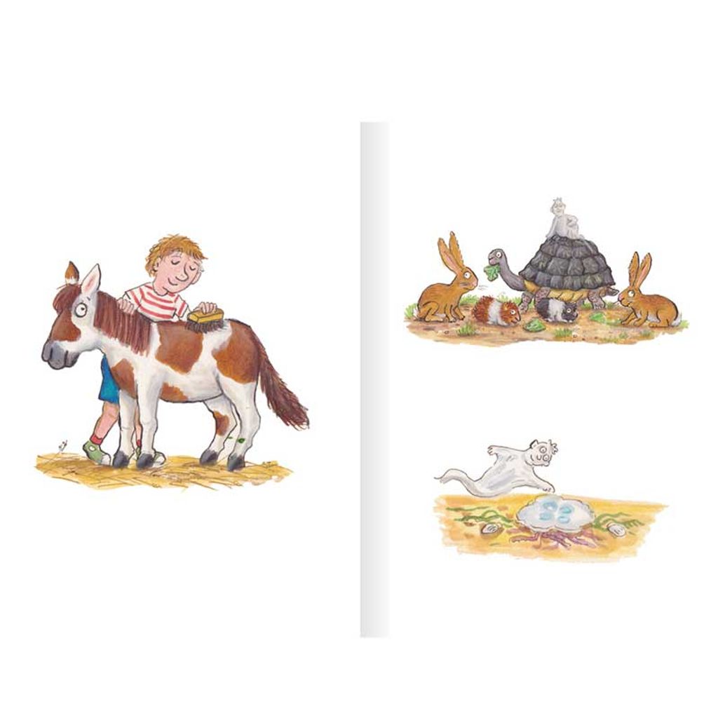 Zippel macht Zirkus Kinder- und Jugendbuch | Kaufland.de