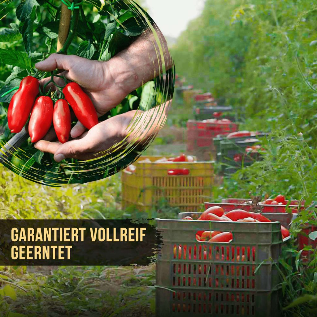 SOLANIA - San Marzano Tomaten DOP 12x 400g | Kaufland.de