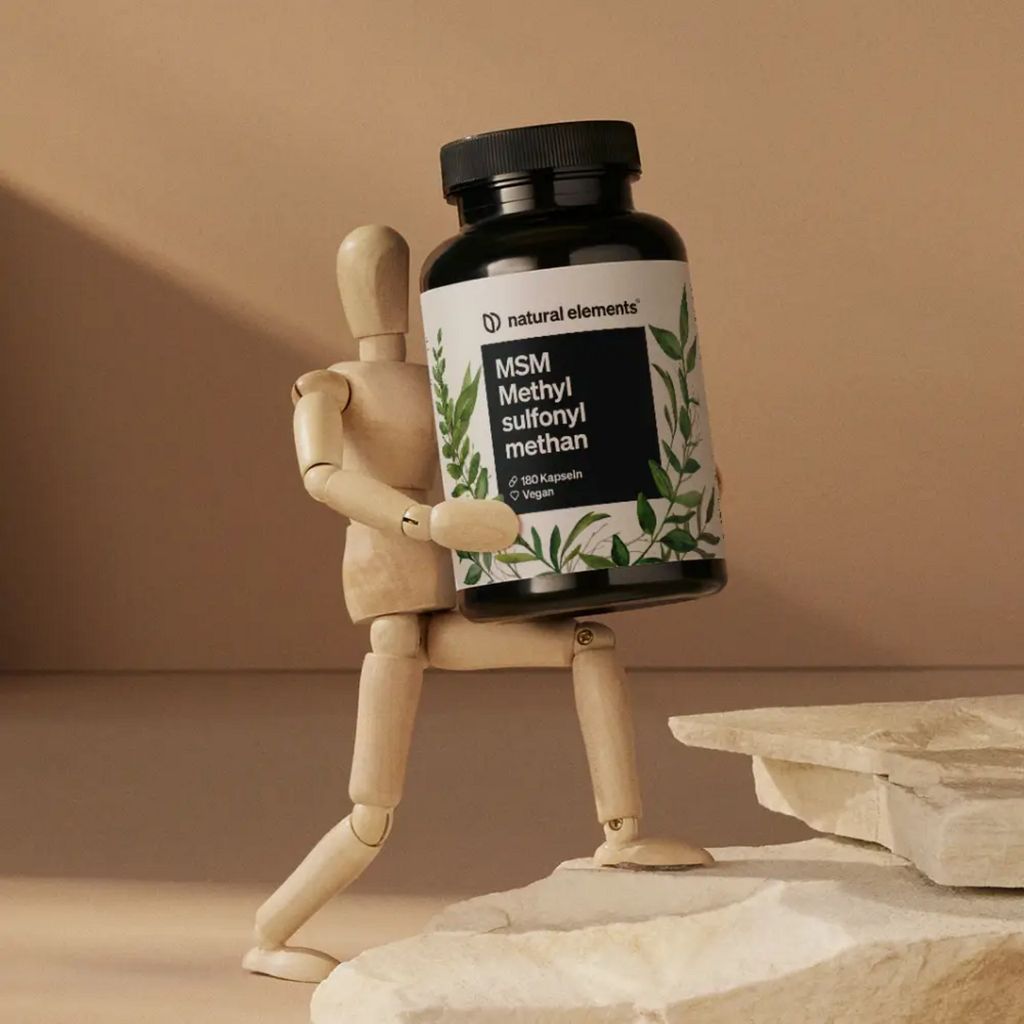 NATURAL ELEMENTS MSM Kapseln | Kaufland.de