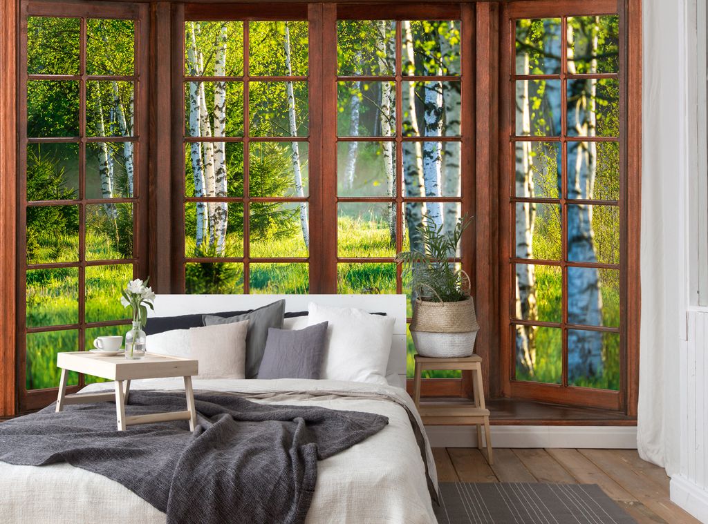 3d Fototapete Fenster
